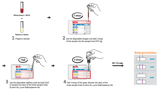 CaniV-4 - Pet Rapid Test