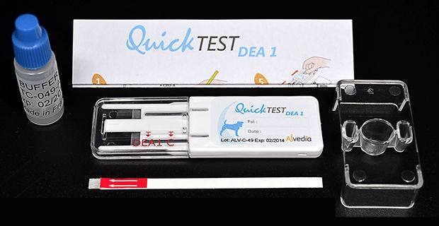 Easy Quick Test Blood Typing Canine - Pet Rapid Test